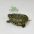 Peacock slider turtle for sale online. Baby slider turtles for sale online.